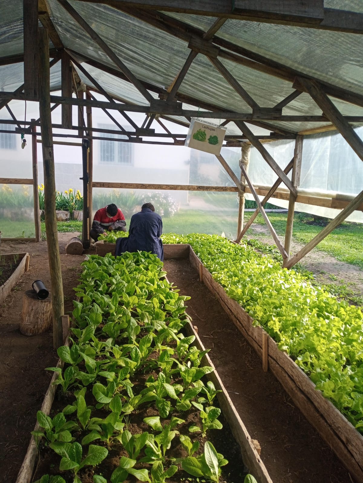 Taller de Panadería y Agrocultivo :: Escuelapadreluisguanella
